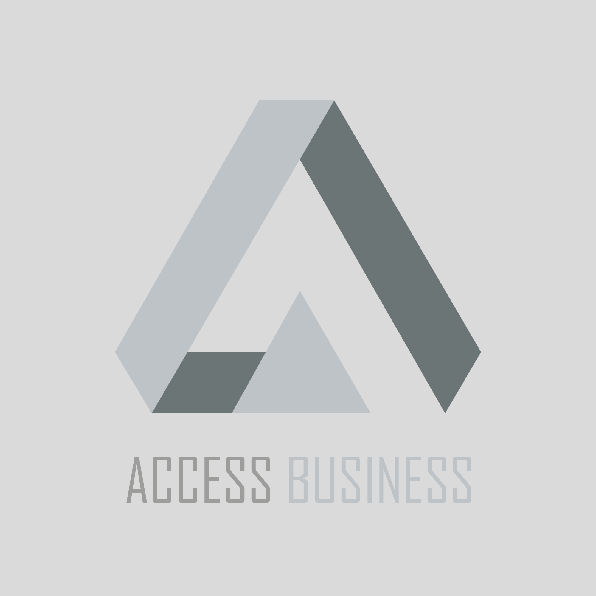 ACCESS BUSINESS – Access